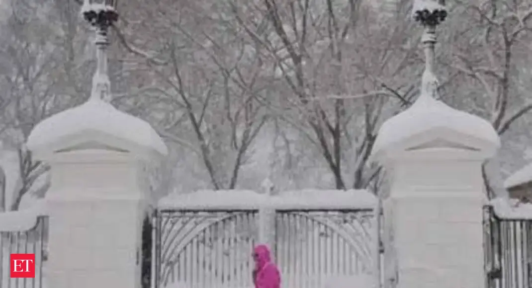 Operation clean up - | The Economic Times