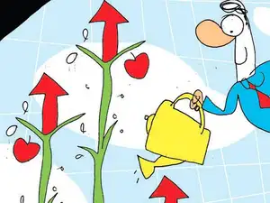 SIPs in MFs rise on investors' awareness, robust equity mkt