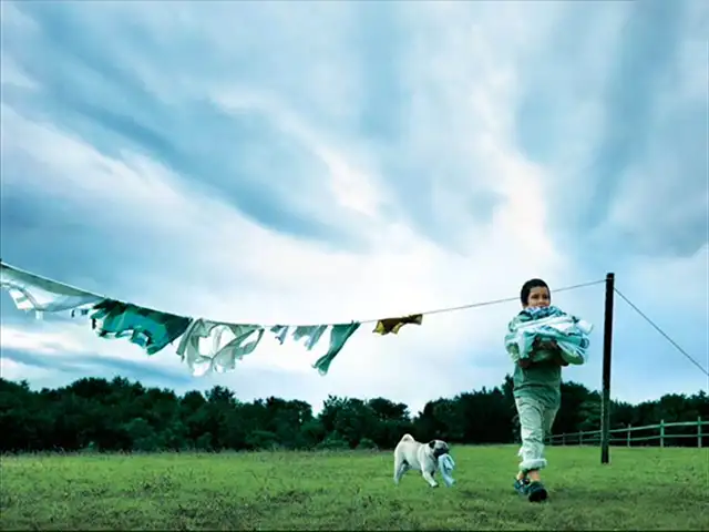 Why everyone turned their TVs on to watch this pug - Behind the scenes ...