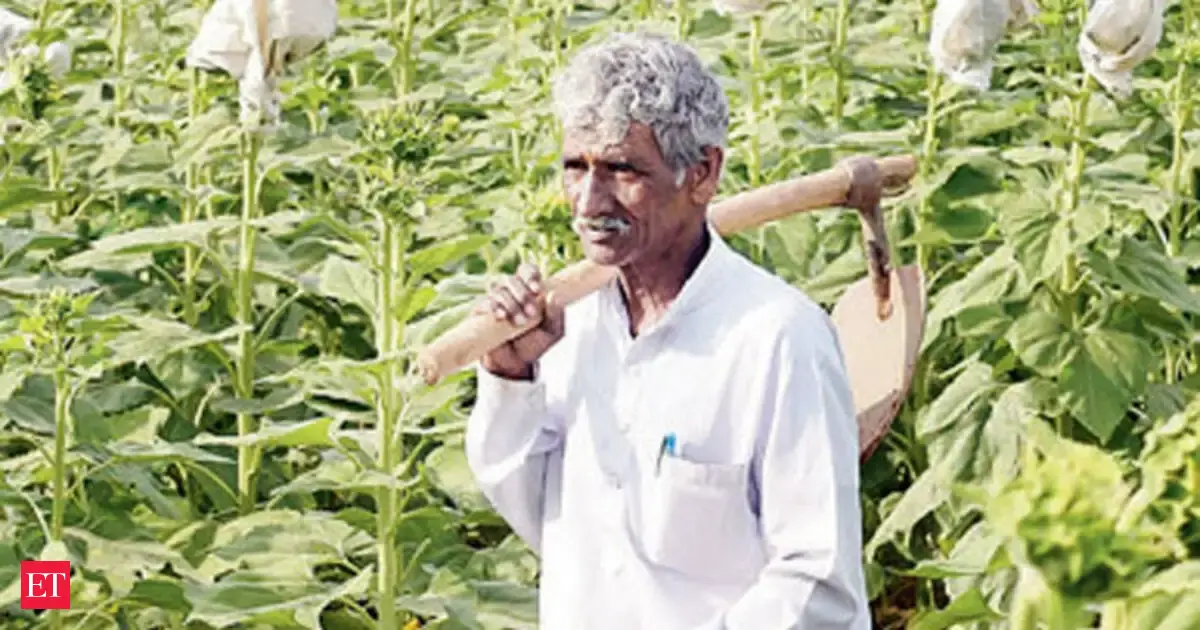 Weak bank support may drive farmers to web of traders, private ...