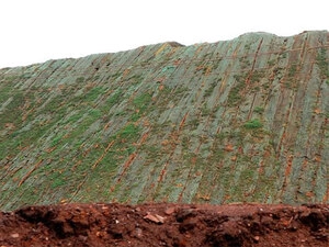 India's Deccan Traps formed by two eruptions: Study - The Economic Times