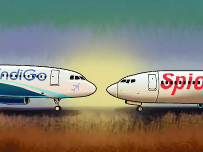 Rabbits on Ahmedabad Airport runway lead to confusion between IndiGo ...