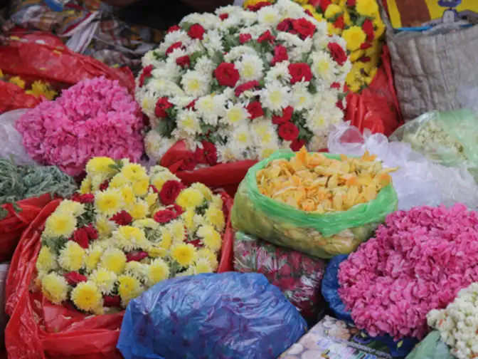 Centre of Excellence for Flowers: Haryana government to set up Centre ...