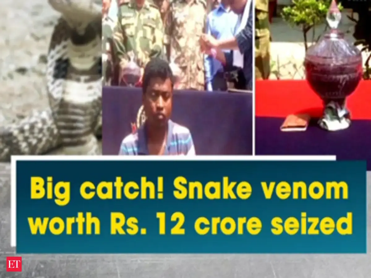 Snake venom worth Rs. 12 crore seized in West Bengal - The Economic ...