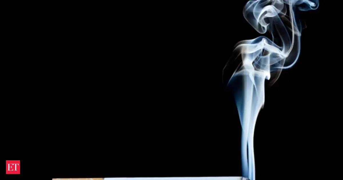 tobacco: From cultivation to consumer waste, here's how tobacco life ...