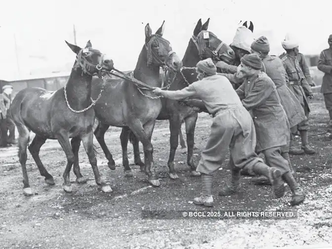 The history that mules, mountains and the military share - The Economic ...