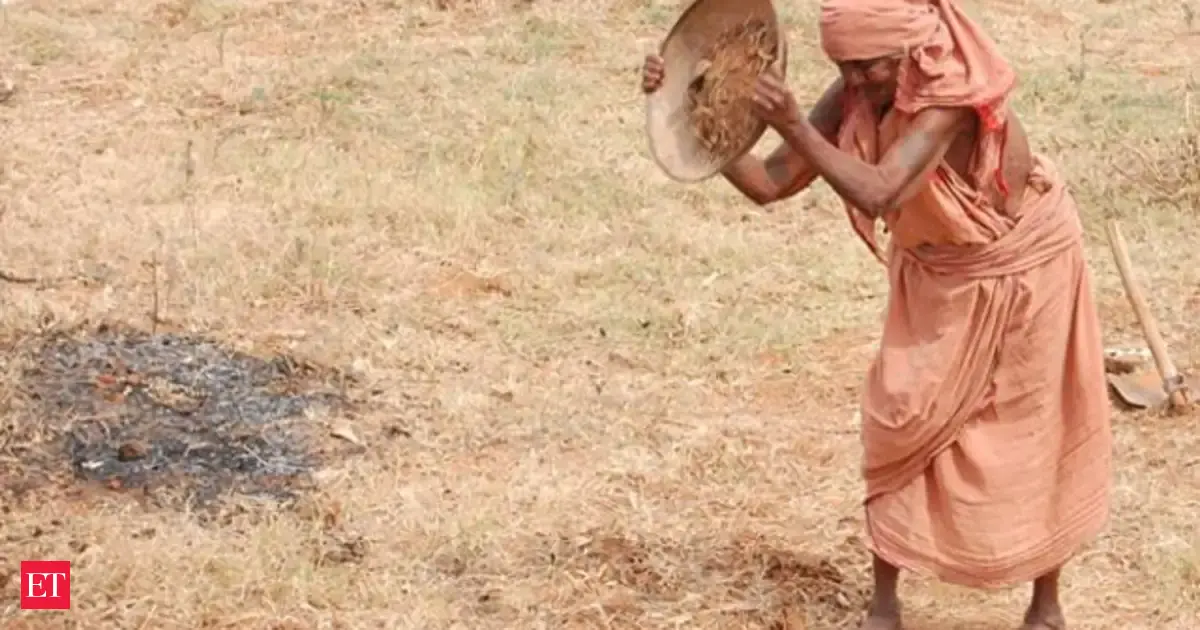 NREGS: Government moves to end disparity in NREGS schedule of rates ...