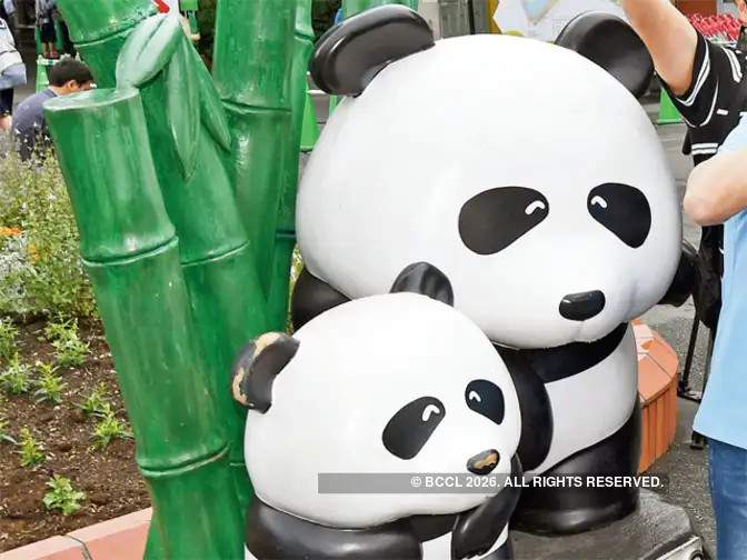 Panda: #ICYMI: Here's why Shin Shin is making headlines - The Economic ...