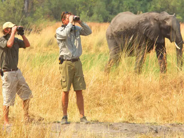 How and where do India's top CEOs travel to unwind - Back to the wild ...