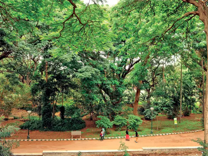 Layers of Lalbagh: From rocks dating back to 3,000 mn years and a ...