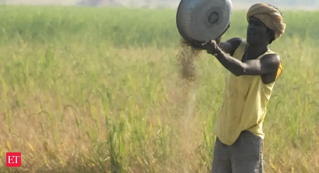 kharif crops: Kharif rice output may dip by 1.9mn ton; pulses down ...