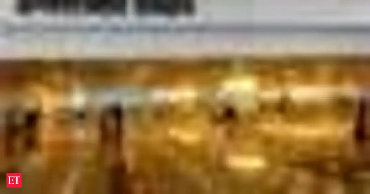 IGI Terminal 3 gives Delhi new high - The Economic Times