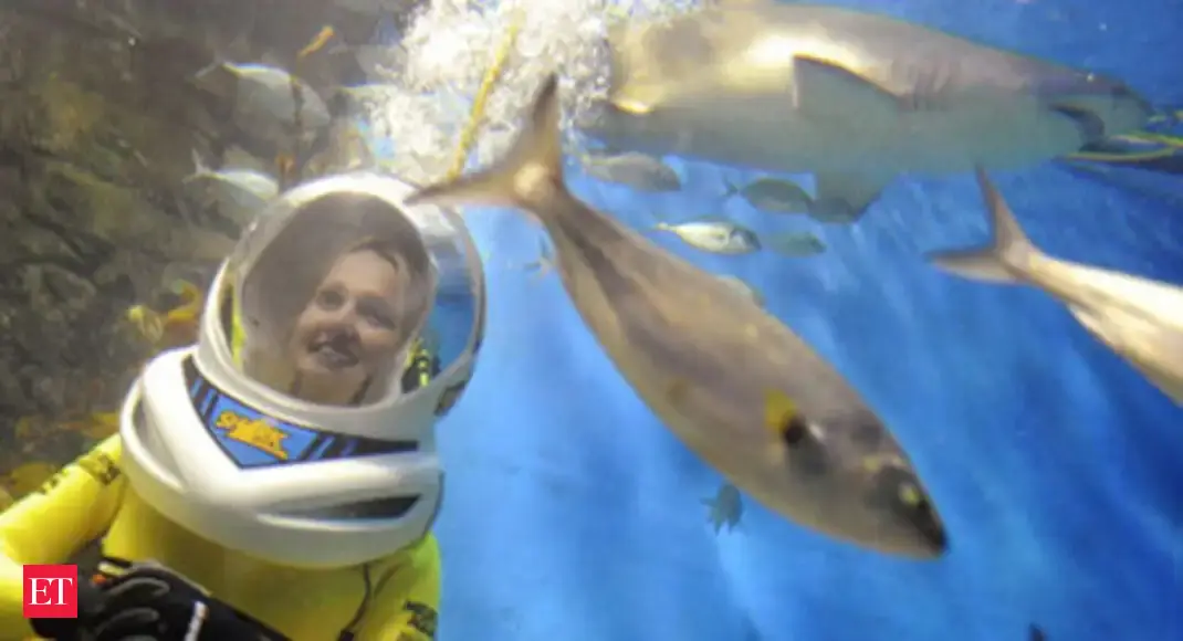 New custom-made Shark Walker helmet - | The Economic Times