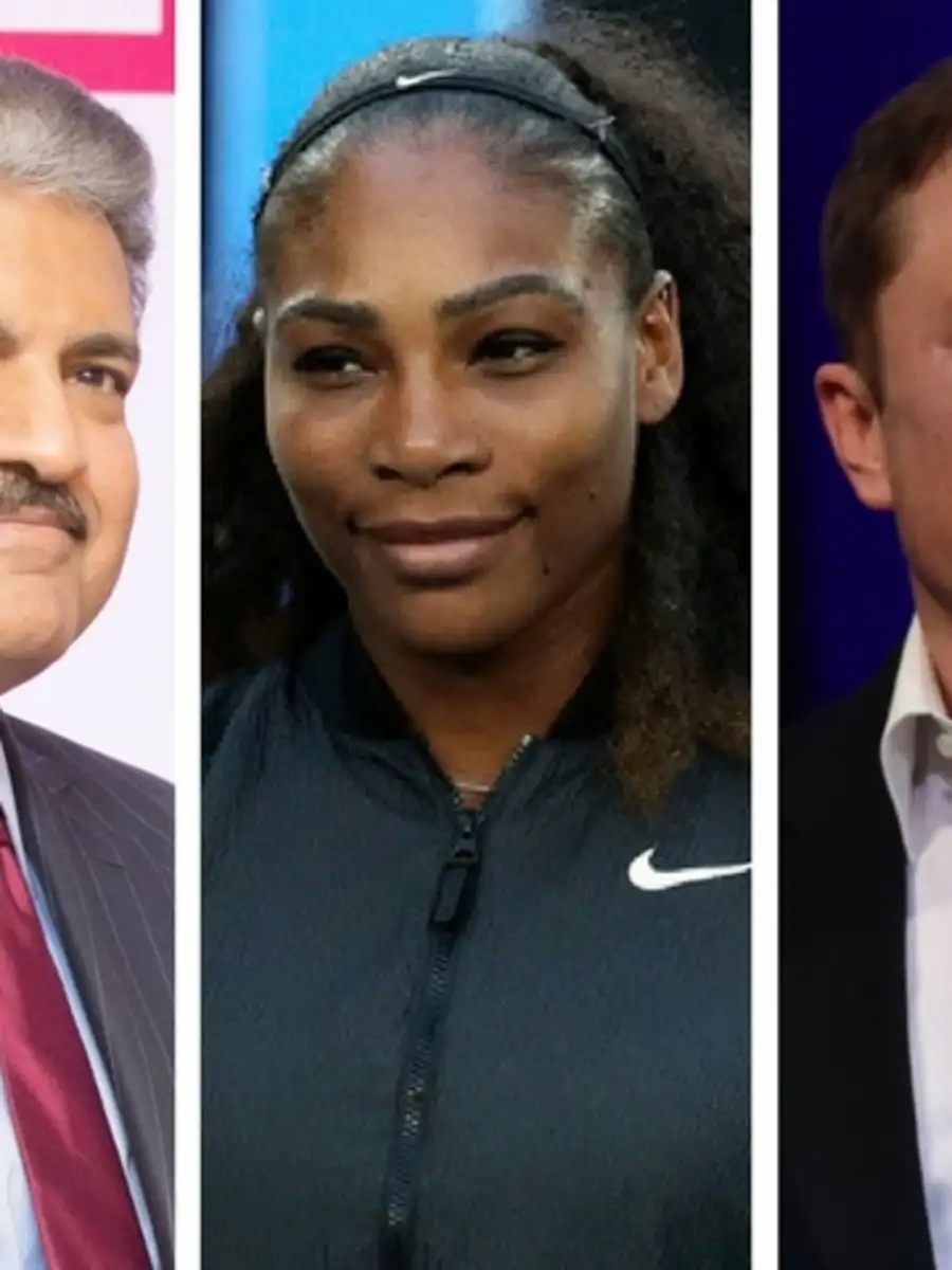 Serena Williams: Ruffling Feathers: Birds That Represent Serial ...