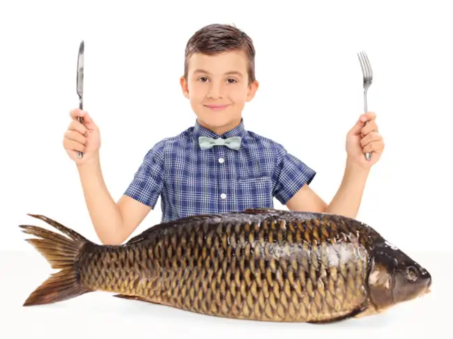 IQ: Want your kid to have IQ like Einstein? Include fish in the diet ...