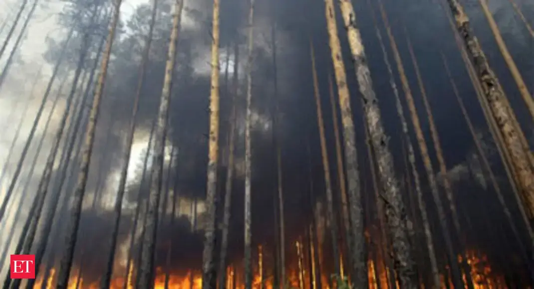 Russia's worst forest fires - | The Economic Times