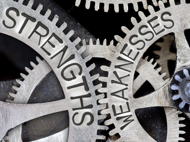 STRENGTHS AND KEY RISKS - 5 key things to know about Amber Enterprises ...