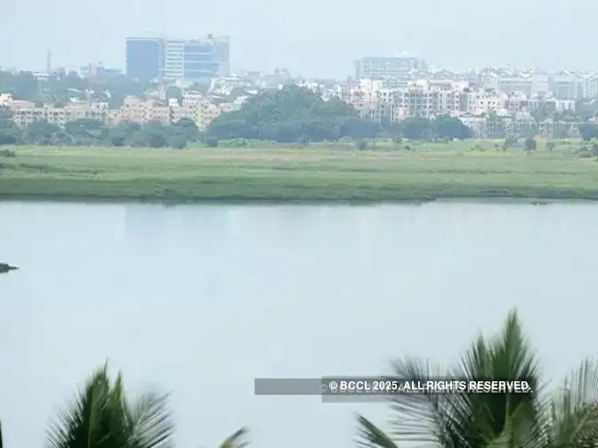 Bengaluru: Bellandur lake revival: Suggestions flood BDA - The Economic ...