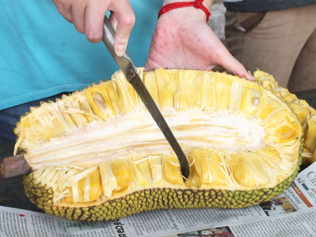 Kerala Gets An Official Fruit Jackfruit The Economic Times kerala-gets-an-official-fruit-jackfruit-the-economic-times