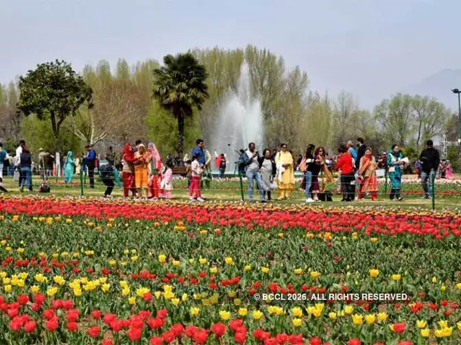 Tulip Garden: Asia's largest Tulip garden in Srinagar open to visitors ...
