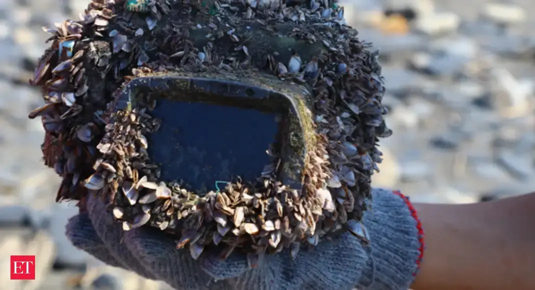 The journey of a lost camera at sea only to be found after more than ...