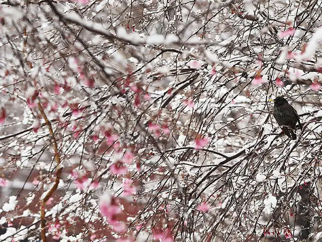 Spring a smile: Season's heartwarming pictures from around the globe ...