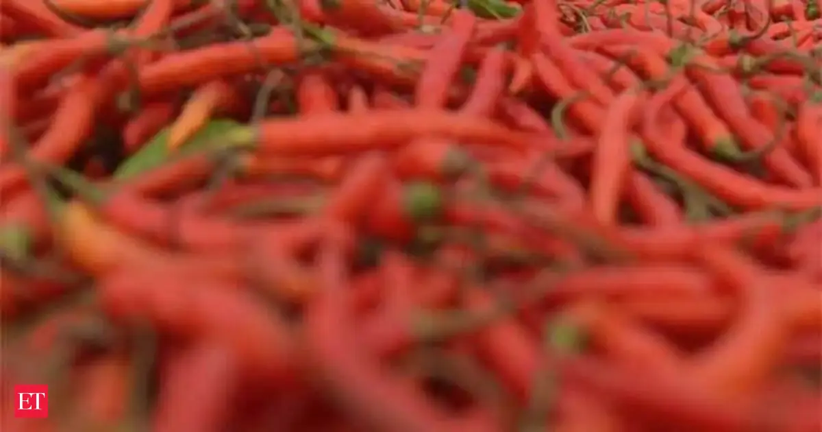 export: Red chilli export slackens as prices rise - The Economic Times