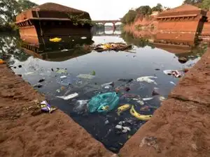 Plastic waste: Government declaring all protected areas 'plastic free ...