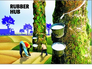 rubber prices: Natural rubber production rises marginally while ...