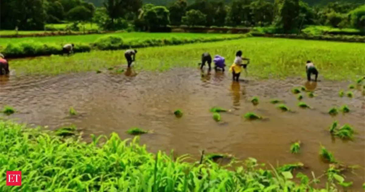 Government approves Rs 5,000 crore for dedicated micro irrigation fund ...