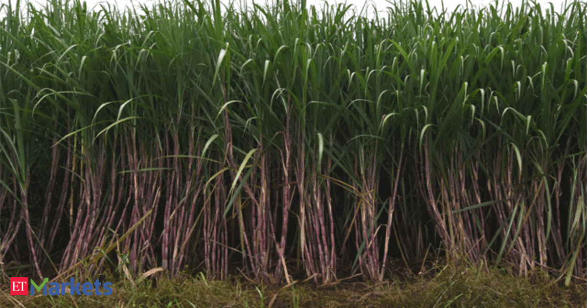 Sugar price: Lobby wants higher MSP for UP sugar - The Economic Times