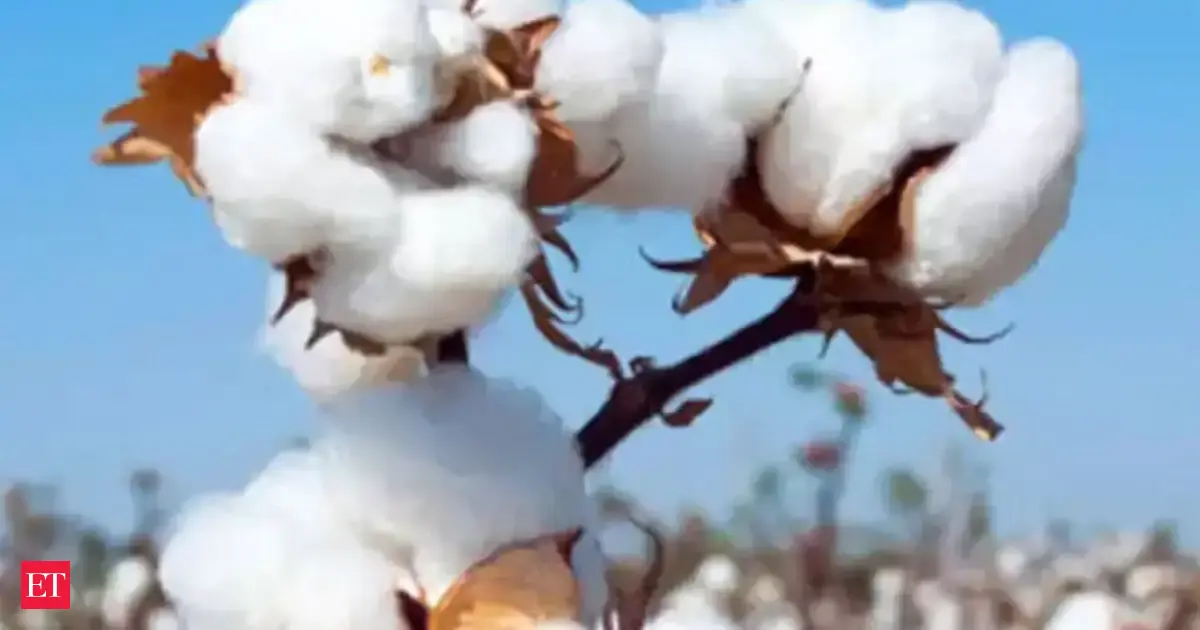 Steps being taken to stop cotton contamination: CCI - The Economic Times