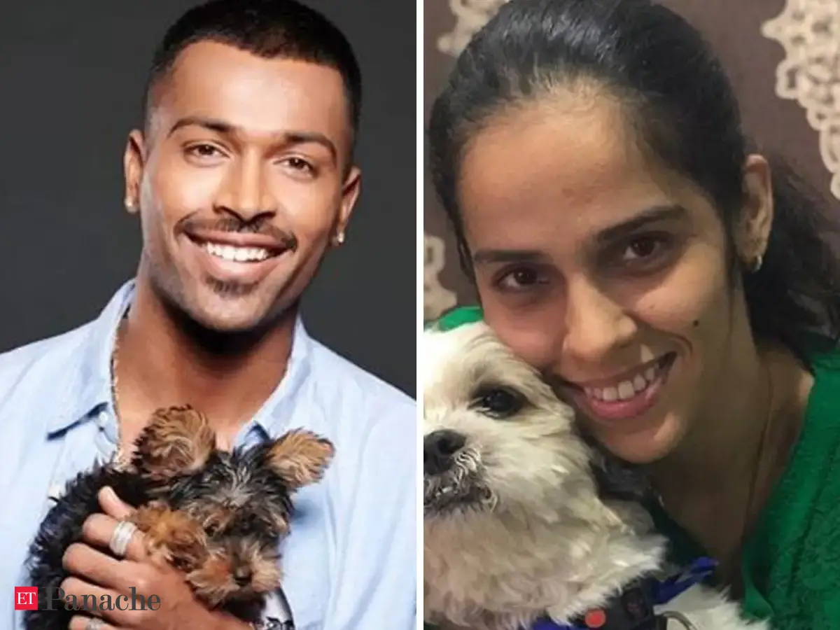 Modelling Dogs - Hardik Pandya's Bentley, Saina Nehwal's Chopsy: Meet ...