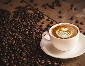 Glitzy opening of Divya Gehlaut's 'Gallery Odyssey' - The Economic Times