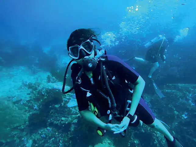 Eat, sleep, dive: Indonesia, a paradise for scuba-diving addicts - The ...