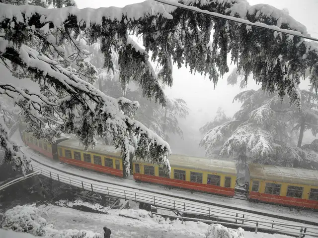 Snow everywhere - Shimla, Manali covered in a blanket of snow | The ...