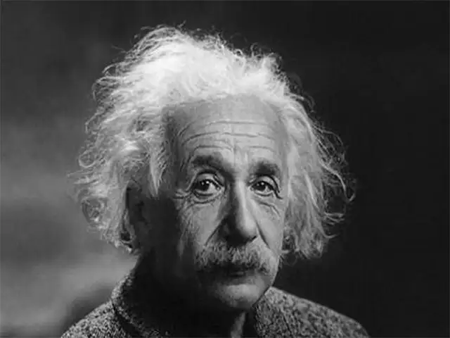Albert Einstein (scientist) - Martyrs' Day: What world leaders think of ...