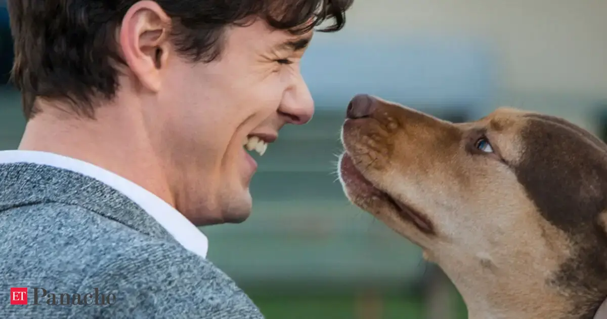 'A Dog's Way Home' review: Light-hearted film that reminds you of a ...