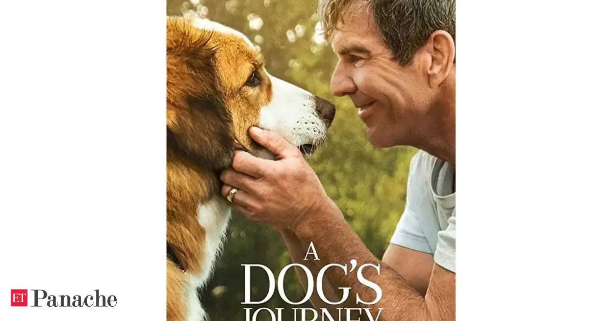 A dog’s journey: 'A dog’s journey' review: The movie is high on ...