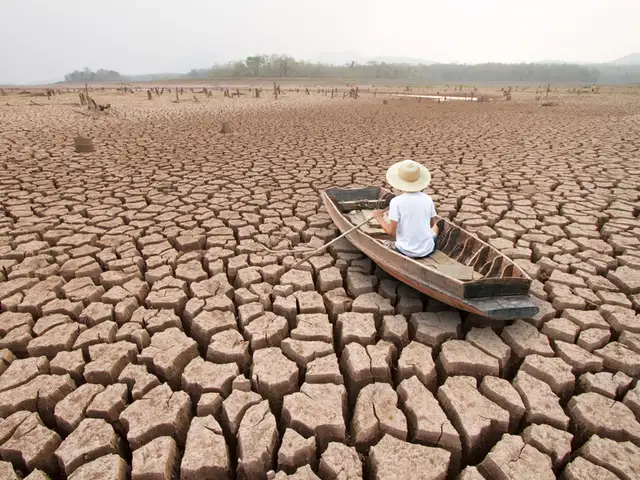 Fighting climate change - World Environment Day 2019: Know why ...