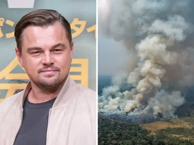 Leonardo DiCaprio: Leonardo DiCaprio wants to preserve Amazon ...
