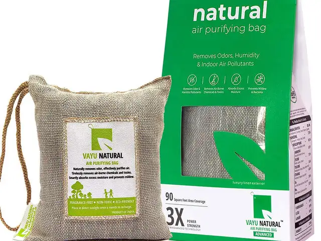 A breath of fresh air - 8 innovative products you can buy on Amazon ...