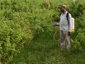 Talcher Fertilizers award project contract to Wuhuan Engineering Co Ltd ...