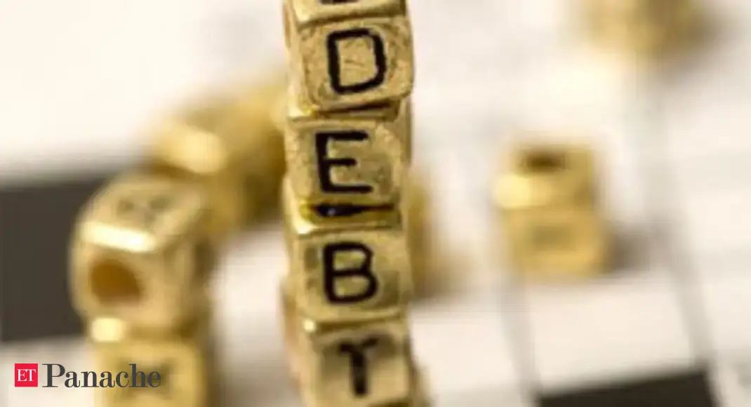 Your quick guide to freedom from debt - | The Economic Times
