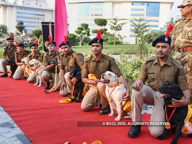 Different breeds - CISF canines who secured Delhi Metro retire with ...