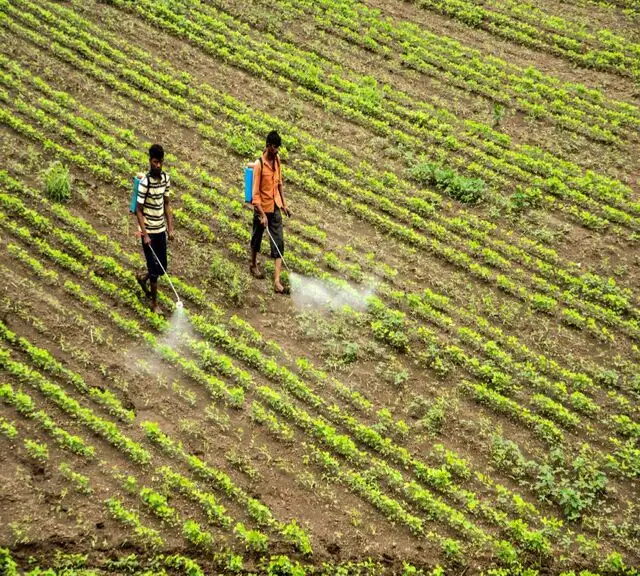 Sharda Cropchem - Will prolonged monsoon impact businesses of agro ...