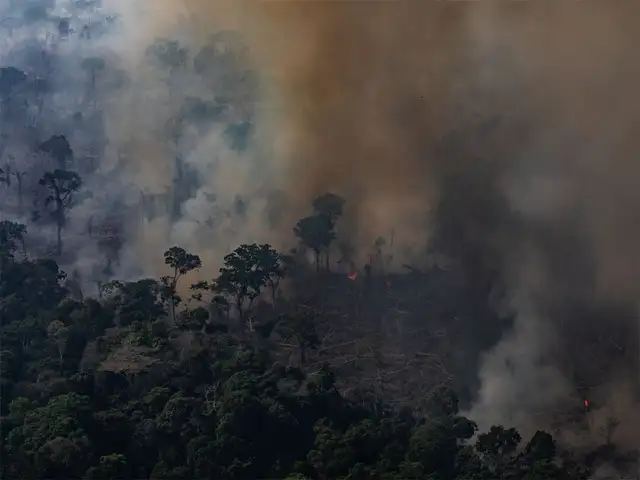 Smog, Pollution India - Brazil's Forest Fires, Delhi's Smog: A Terrible ...