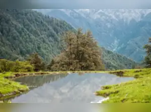 Himalayan flora-fauna in critical phase to global warming: Scientists ...