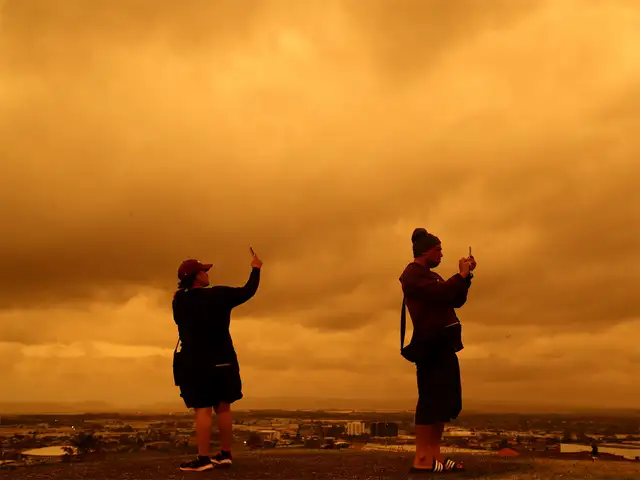 New Zealanders in panic mode over 'scary' skies - High numbers of ...