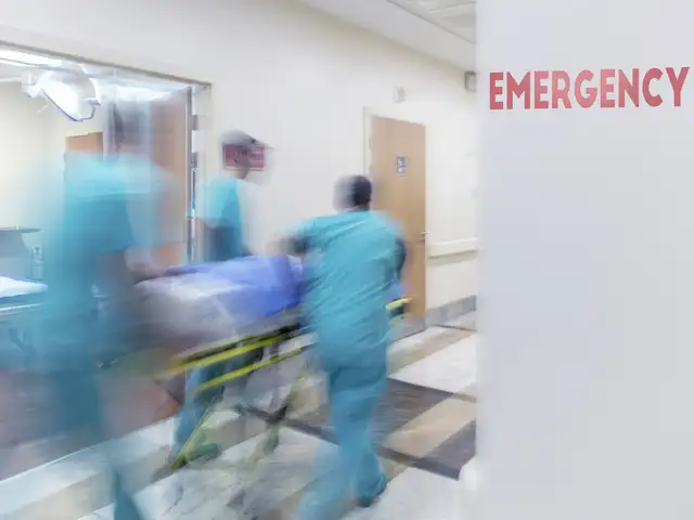 Seizure death: Cake-eating competition in Australia had a tragic turn ...